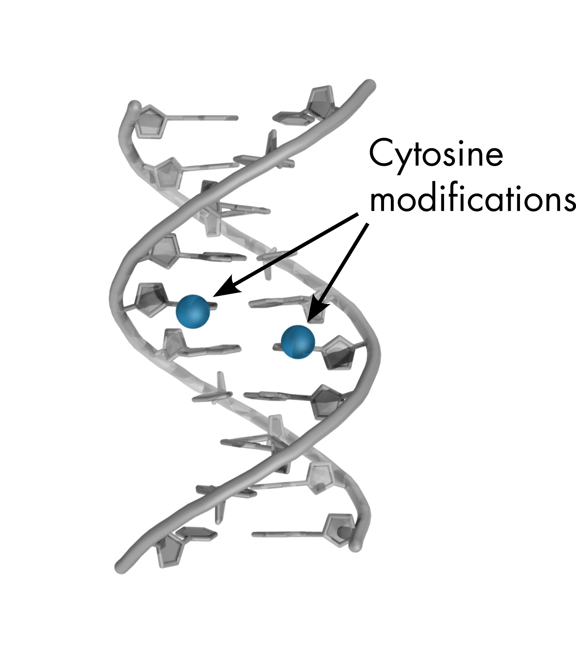 Research. - Hardwick Lab | University of Bristol